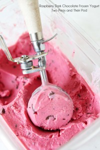 Raspberry Frozen Yogurt Recipe