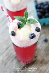 Pomegranate Blueberry Float Recipe | Float Recipe
