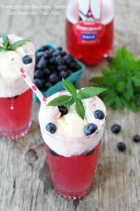 Pomegranate Blueberry Float Recipe | Float Recipe