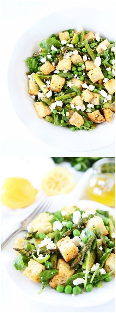 Spring Panzanella Salad Recipe Spring Panzanella Salad Recipe