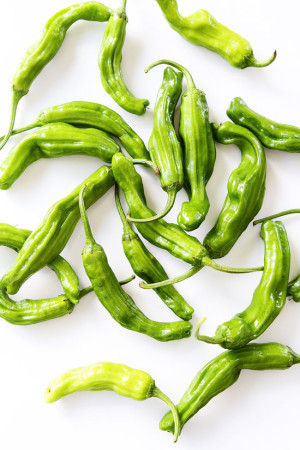 Grilled Shishito Peppers Recipe