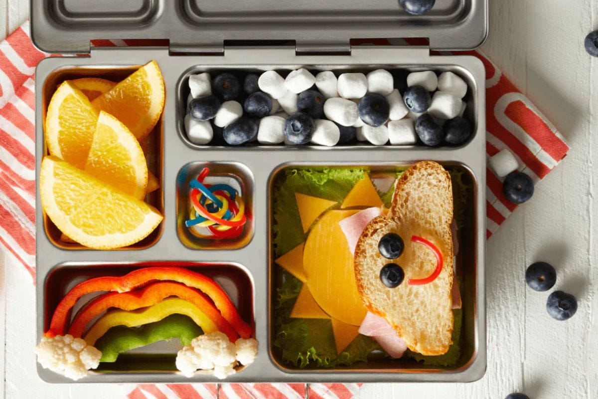 Bento Lunch Boxes Bento Lunch Boxes