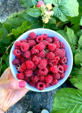 This and That Archives - Two Peas & Their Pod