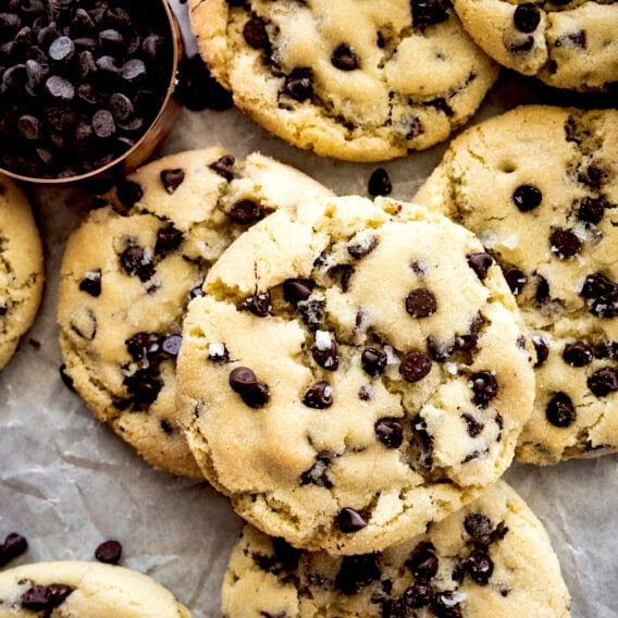 Chocolate Chip Sugar Cookies
